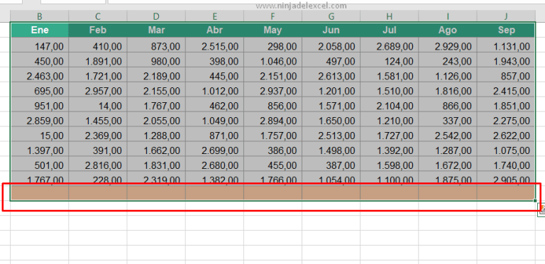 Cómo Sumar Columnas en Excel - Ninja del Excel