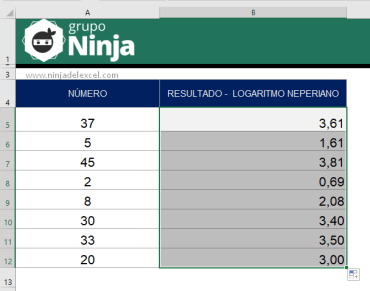 Cómo Calcular el Logaritmo Neperiano en Excel: Función LN - Ninja del Excel