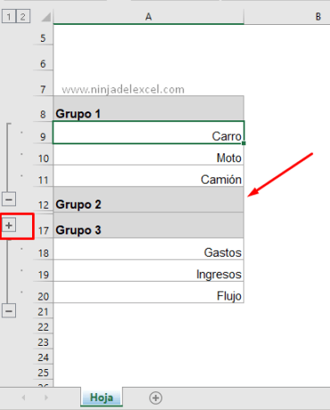 Cómo Usar la Herramienta Agrupar en Excel - Ninja del Excel