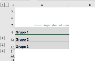 Cómo Usar la Herramienta Agrupar en Excel - Ninja del Excel