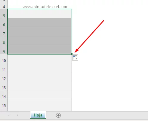 Cómo Hacer Autorrelleno con Alfabeto en Excel - Ninja del Excel