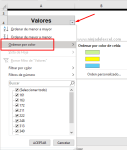 Cómo Ordenar por Color en Excel - Ninja del Excel