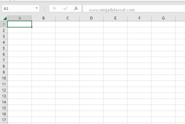 Cómo se Organizan Filas y Columnas en Excel - Ninja del Excel