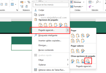 Cómo convertir fórmula a imagen en Excel - Ninja del Excel