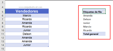 Eliminar nombres repetidos con tabla dinámica en Excel - Ninja del Excel