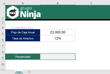 calcular la perpetuidad en Excel - Ninja del Excel