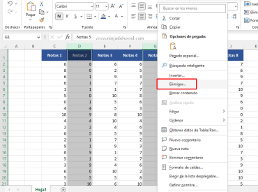 Cómo Eliminar Columnas Alternativas en Excel - Ninja del Excel