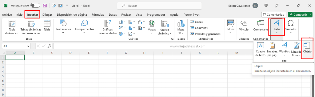 Vincular Imagen de Word a Excel - Ninja del Excel