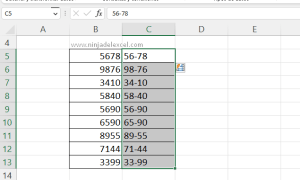 Tres formas de usar Relleno Rápido en Excel - Ninja del Excel