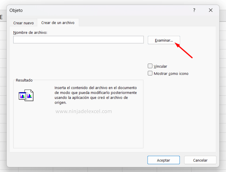 Cómo Insertar objetos de Otro Documento en Excel - Ninja del Excel