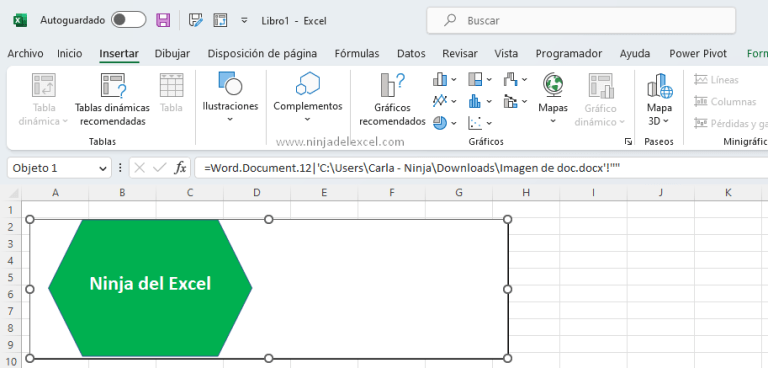 Vincular Imagen de Word a Excel - Ninja del Excel