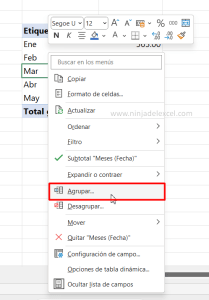 Cómo Agrupar Tablas Dinámicas Por Años en Excel - Ninja del Excel
