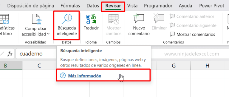 Haz Búsquedas Inteligentes en Excel - Ninja del Excel