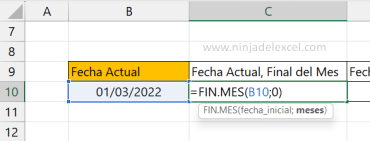 Cómo Usar la Función FIN.MES en Excel - Ninja del Excel