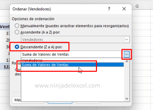 Ordenar Tabla Dinámica Basada en Otra Columna en Excel - Ninja del Excel