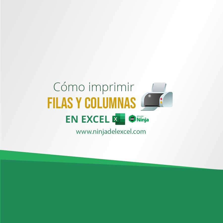 Como Imprimir Filas y Columnas en Excel - Ninja del Excel