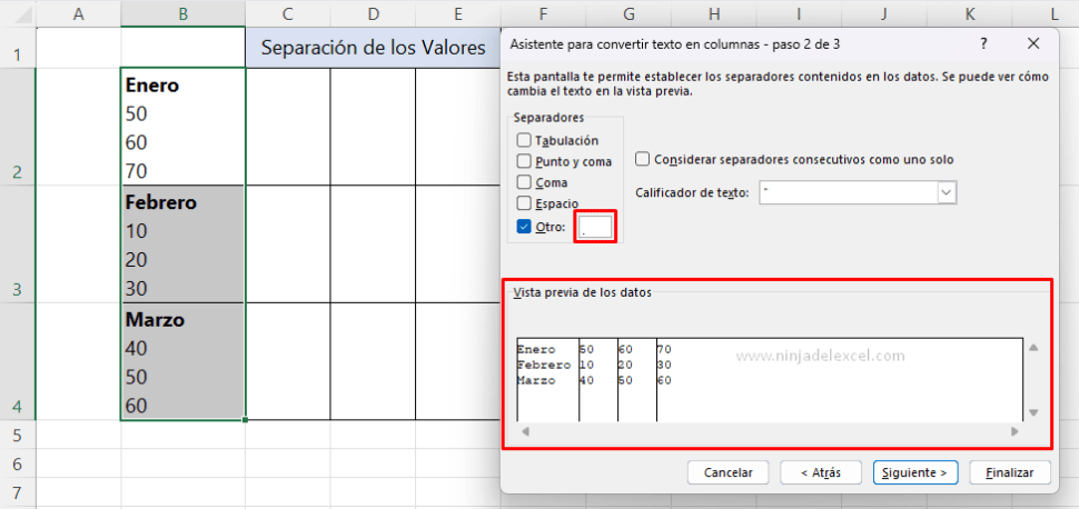 Texto a Columnas con Ajuste de Texto en Excel - Ninja del Excel