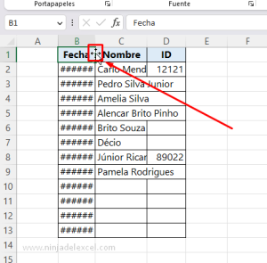 Cómo Organizar Columnas en Excel - Ninja del Excel