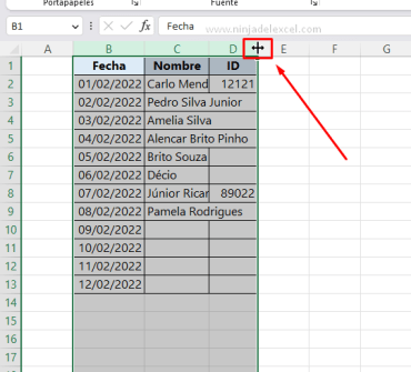 Cómo Organizar Columnas en Excel - Ninja del Excel