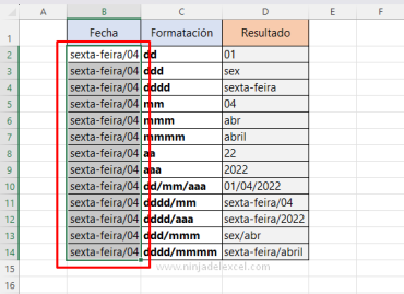 Varios Formatos de Fecha en Excel - Ninja del Excel