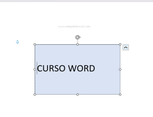 Cómo Hacer un Cuadrado en Word y Escribir Dentro - Ninja del Excel